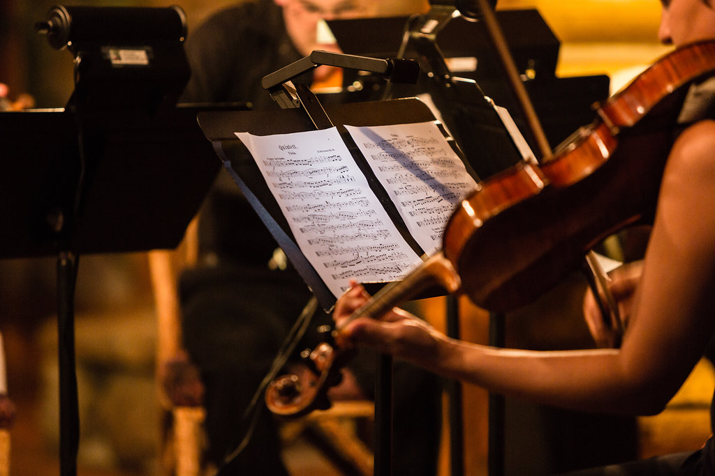 Chamber Music Seminar | Linda Rosenthal | violinist